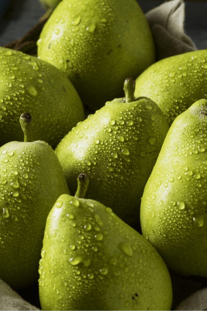 32 Fruits That Start With G (From Grapple To Grape!)