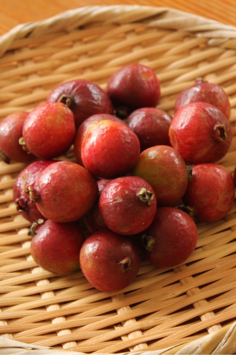 30 Fruits That Start With S (+ Interesting Facts)