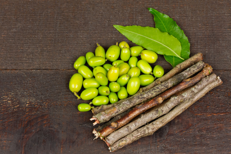 13 Vegetables That Start With N: New Ideas For Your Kitchen