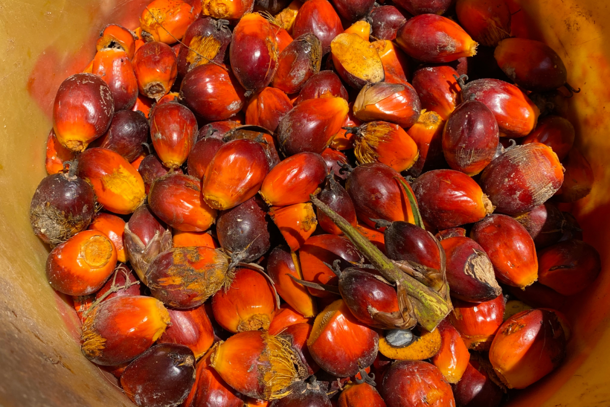 30 Fruits That Start With O: Orotund Opportunities