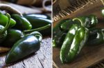 Pasilla Vs Poblano: 4 Differences To Spice Up Your Day!