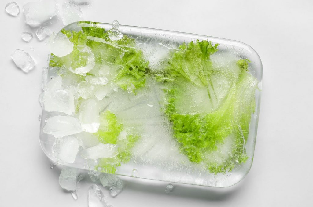 Can You Freeze Lettuce? The Answer Is Around The Corner!