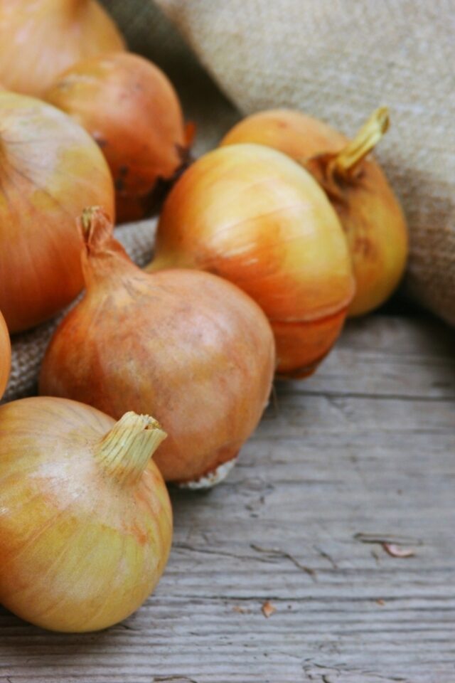 4 Key Differences Between Sweet Onion And Yellow Onion