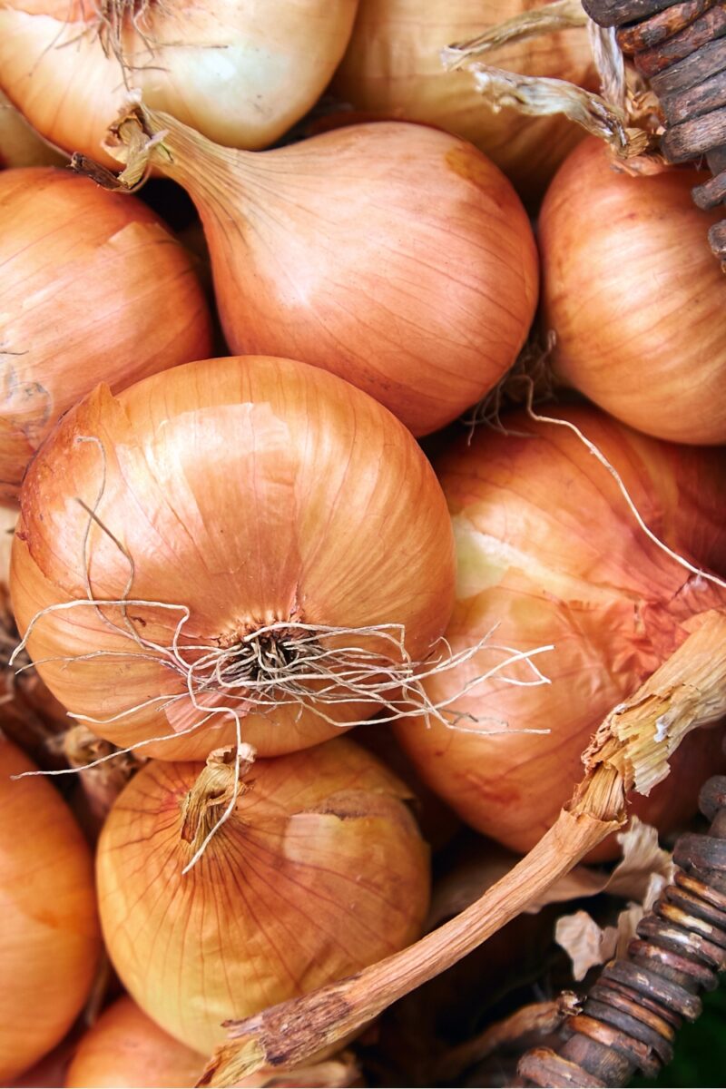 4 Key Differences Between Sweet Onion And Yellow Onion
