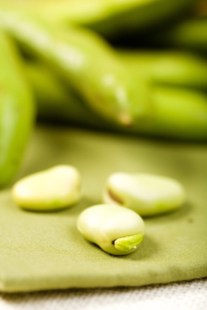 14 Substitutes For Black Beans Bound To Elevate Any Dish