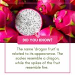What Does Dragon Fruit Taste Like? (3 Recipes Included)