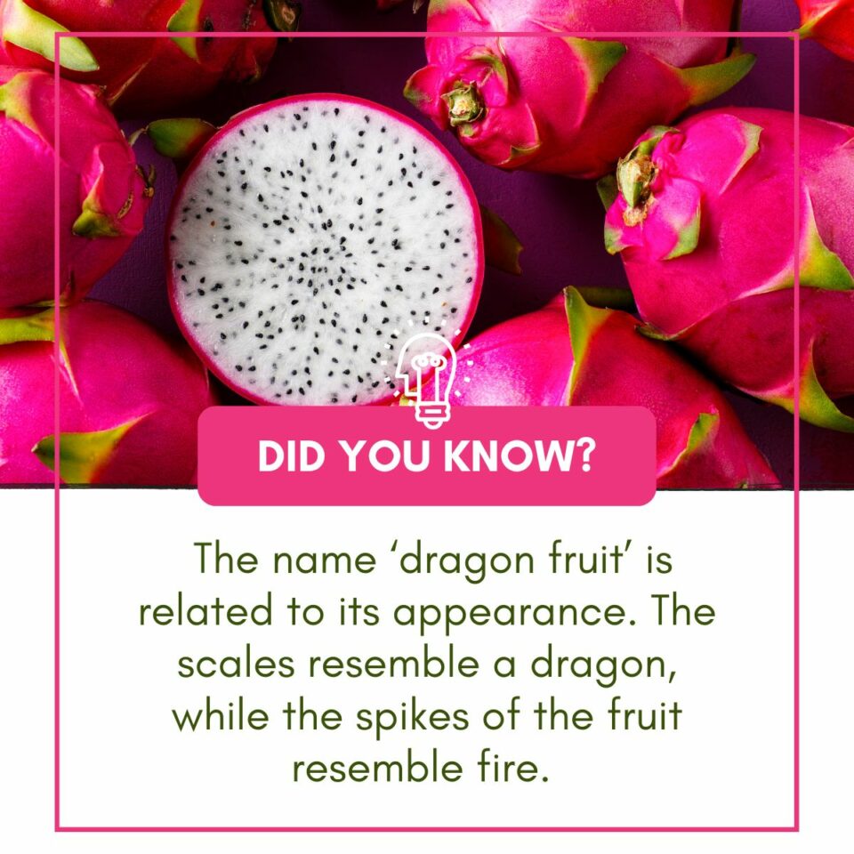 What Does Dragon Fruit Taste Like? (3 Recipes Included)