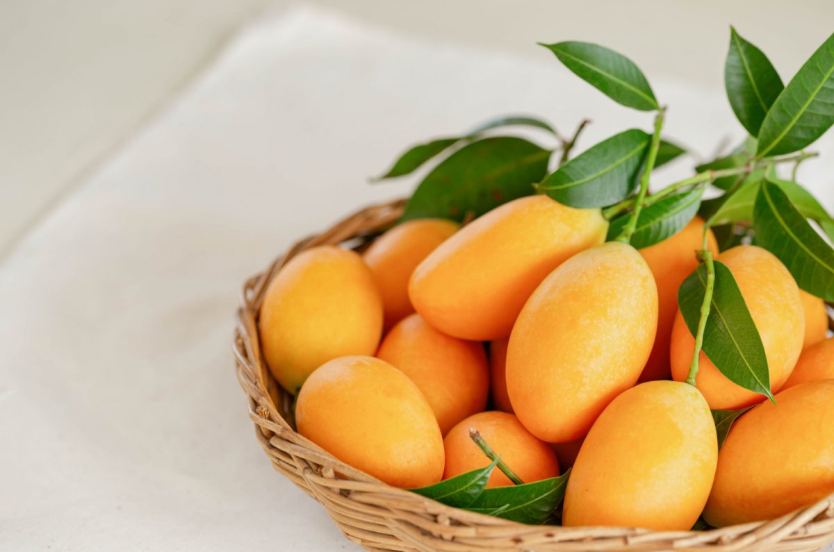 58 Marvelous Fruits That Start With M You Need To Know