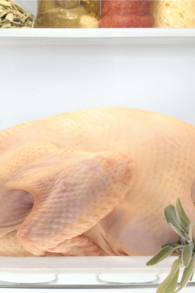 4 Ways To Thaw A Turkey Overnight (From Safest To Fastest!)