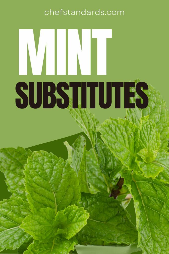 14 Mint Substitutes To Get The Same Aromatic Intensity