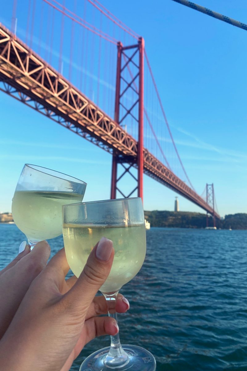 What Does Wine Taste Like: The Beginners Guide To Follow