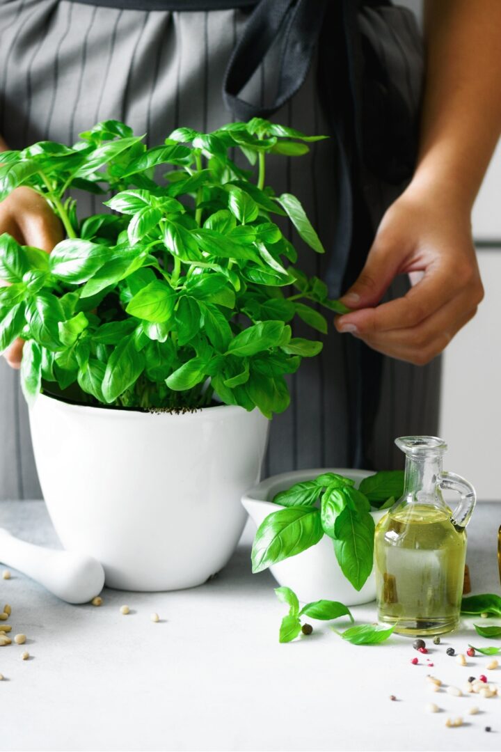 10 Curry Leaves Substitutes To Solve Your Leaf Shortage