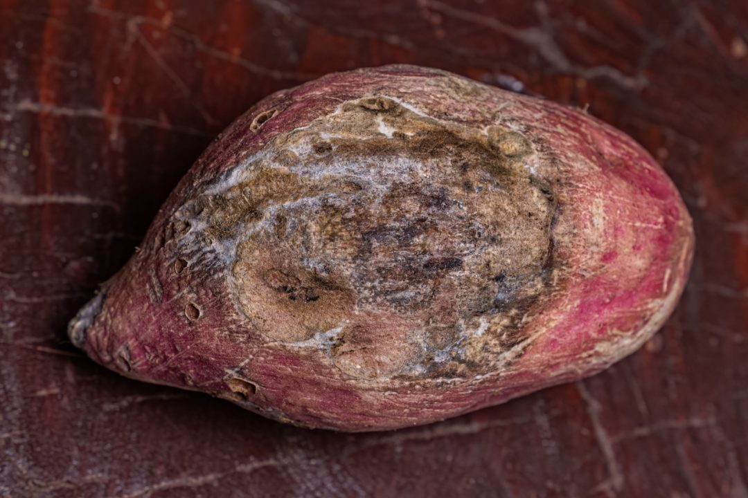 8 Ways How To Tell If A Sweet Potato Is Bad