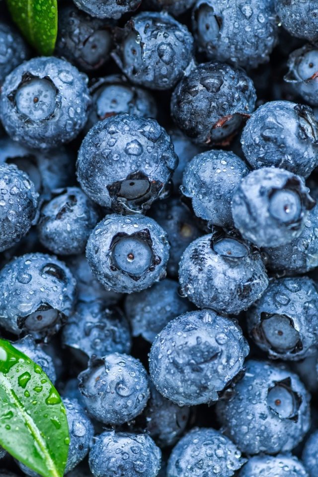 How Long Do Blueberries Last? Handling Blueberries Properly