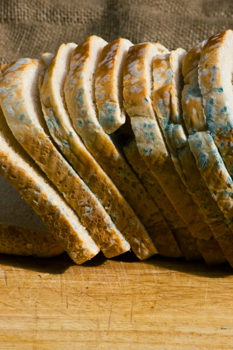 15 Ways How To Keep Bread From Molding At Home