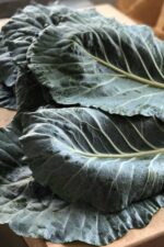 4 Main Differences Between Turnip Greens And Collard Greens