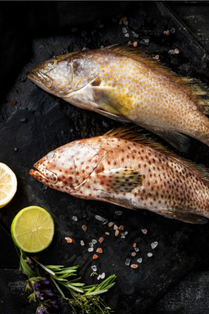 What Does Grouper Taste Like? Groupers Flavor Profile