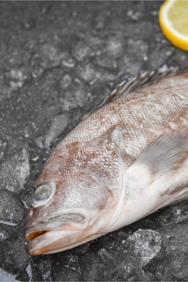 What Does Grouper Taste Like? Groupers Flavor Profile