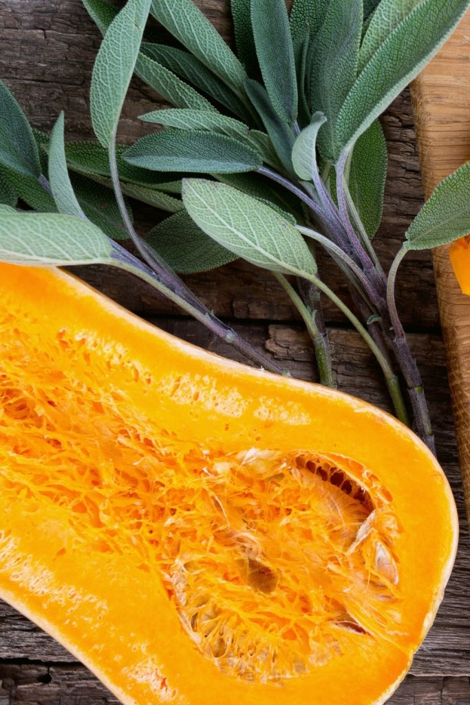 How To Tell If Squash Is Bad? 8 Spoilage Signs Of Squash