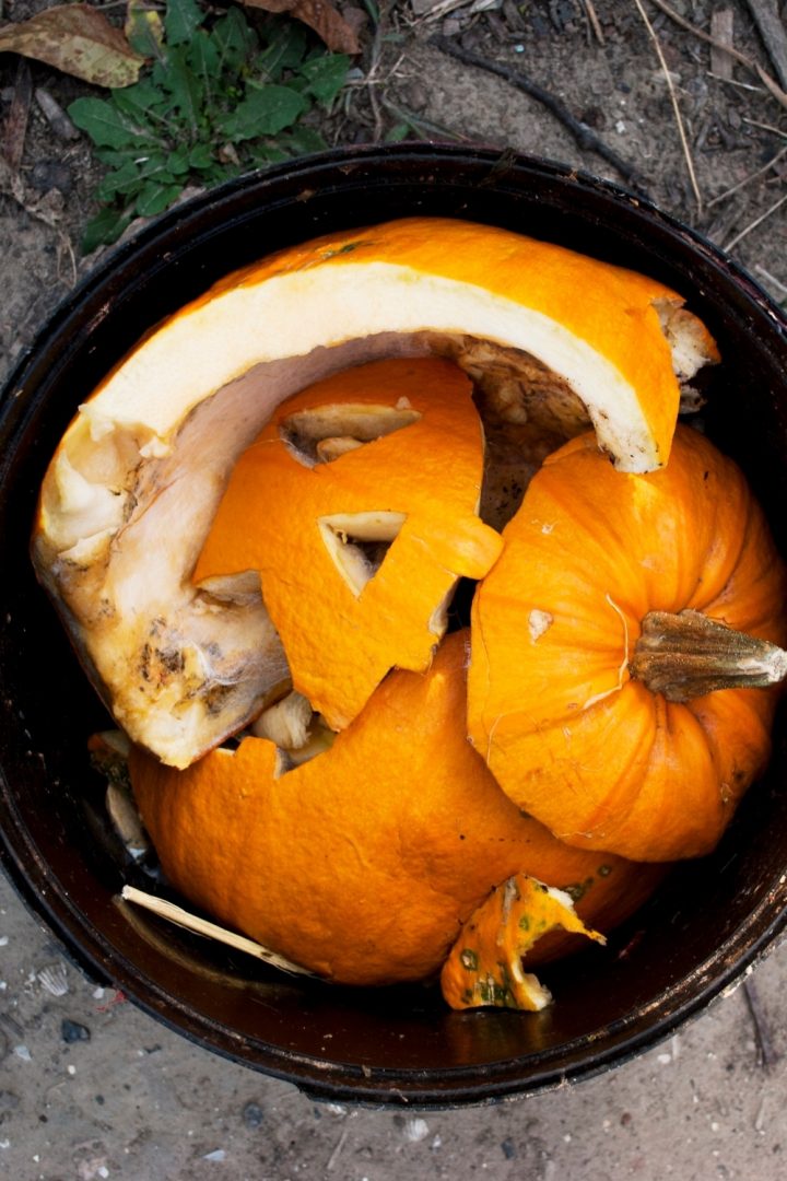 How To Tell If Squash Is Bad? 8 Spoilage Signs Of Squash