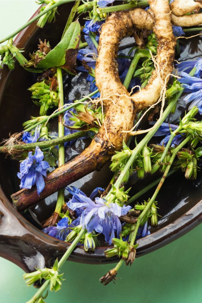 15 Radicchio Substitutes: Both Nutritious And Flavorful