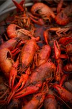 What Does Crawfish Taste Like And How To Enjoy It?