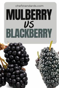7 Key Differences Between Mulberries And Blackberries