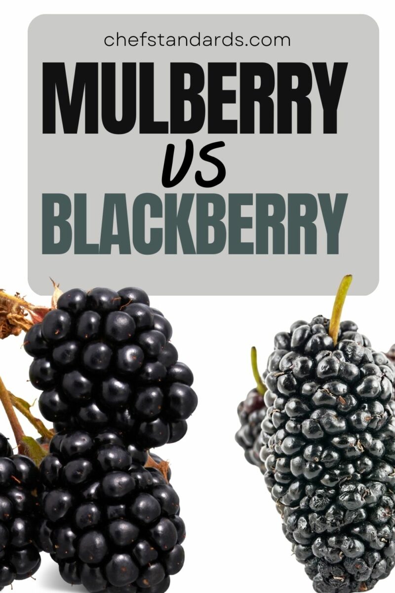 7 Key Differences Between Mulberries And Blackberries