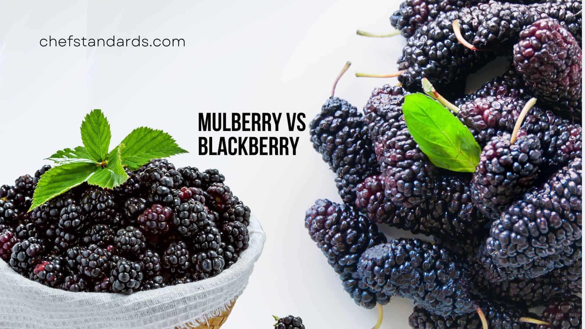 7 Key Differences Between Mulberries And Blackberries 7 Key Differences Between Mulberries And Blackberries