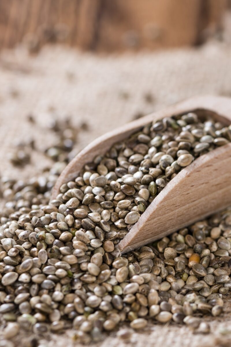 10 Substitutes For Sesame Seeds For Every Opportunity
