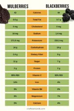 7 Key Differences Between Mulberries And Blackberries