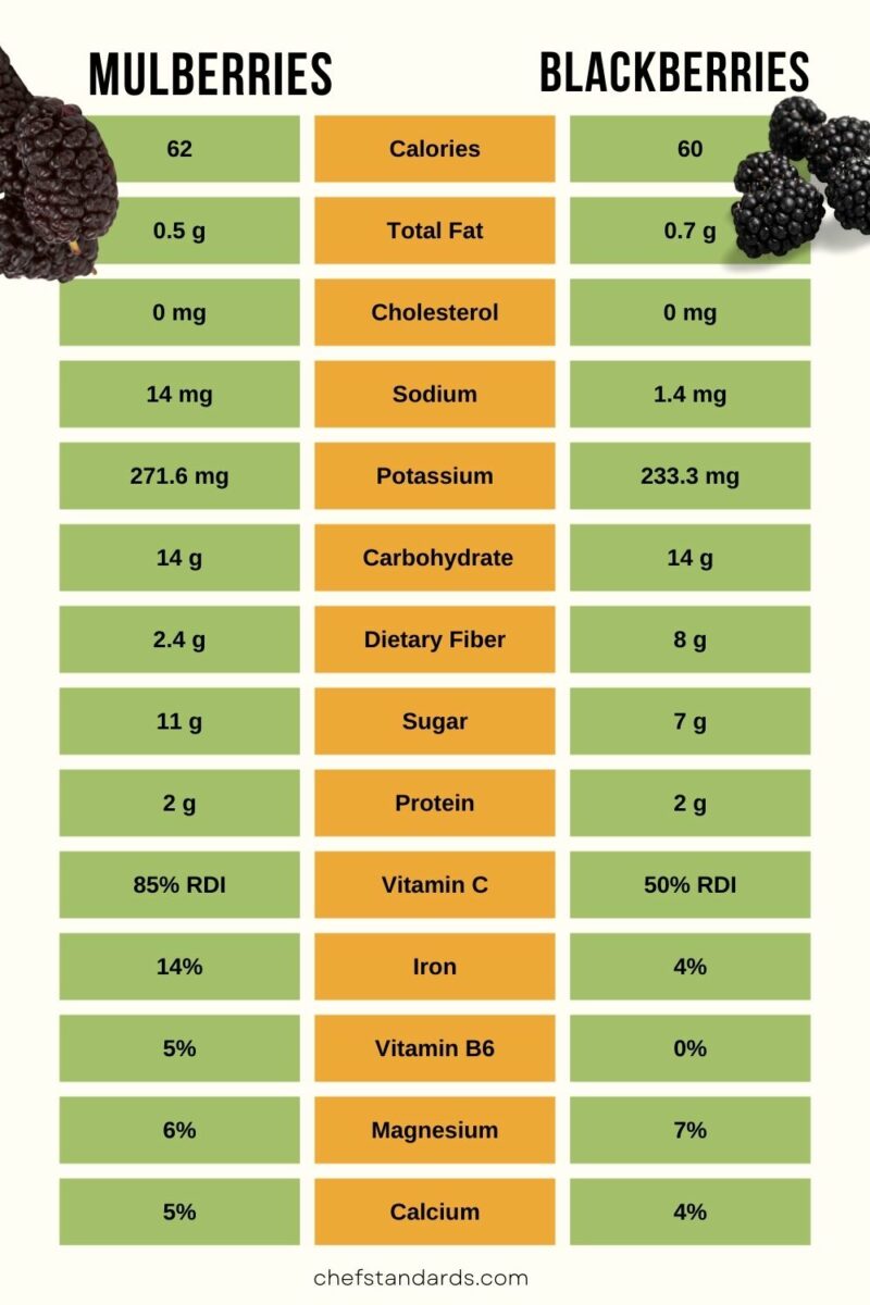 7 Key Differences Between Mulberries And Blackberries