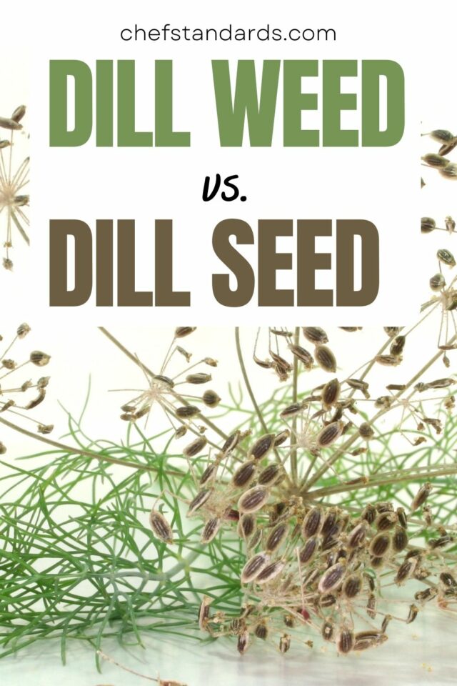 9 Key Ways To Differentiate Dill Weed From Dill Seed