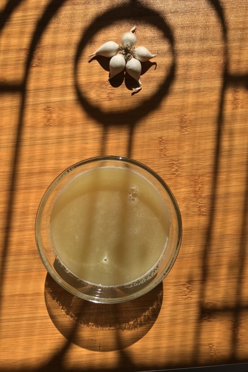 10 Best Garlic Powder Substitutes You Need To Try Today