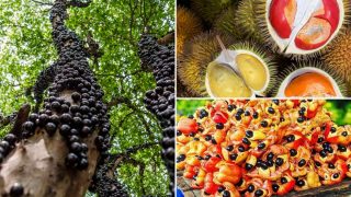 12 Weird Fruits From Around The World You Must Try