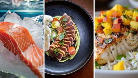 20 Best Tasting Fish That Prove Seafood Is King