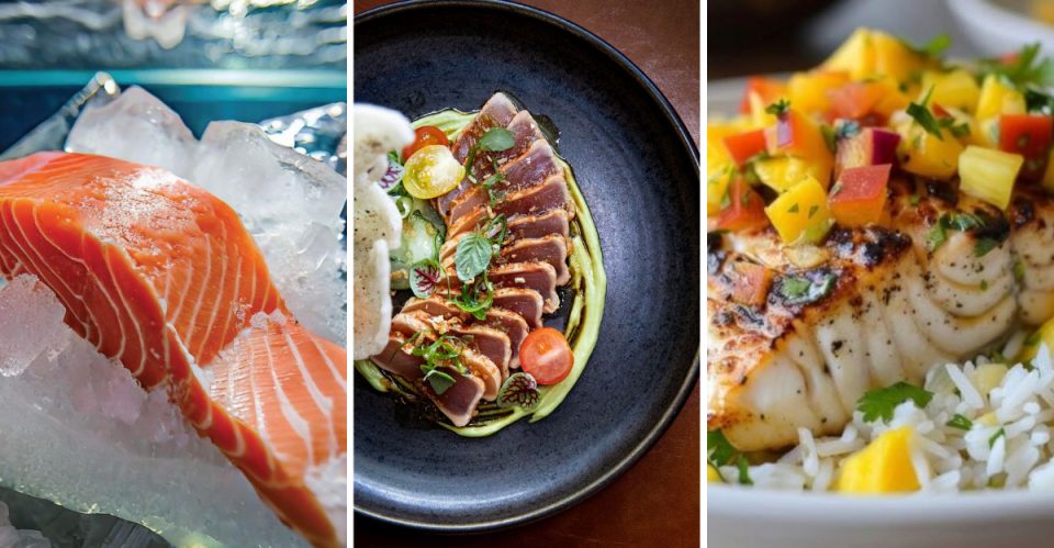 20 Best Tasting Fish That Prove Seafood Is King