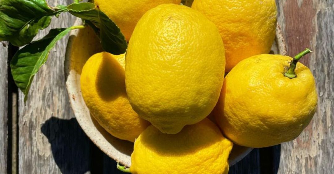 20 Health Benefits Of Lemons