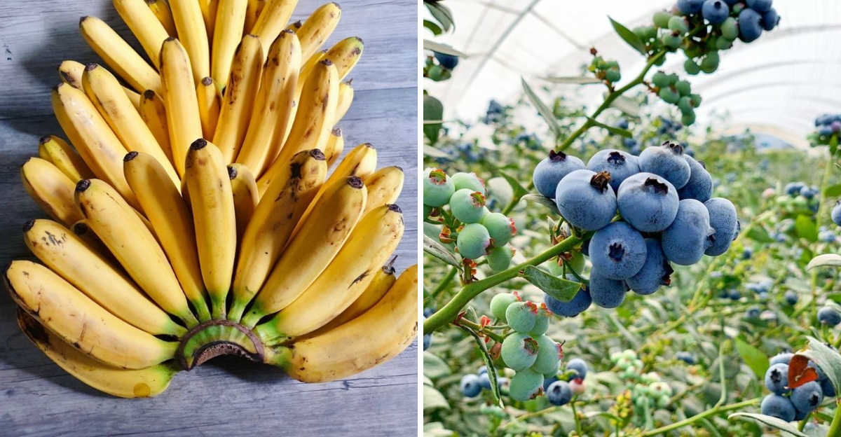 26 Fruits That Help In Muscle Growth