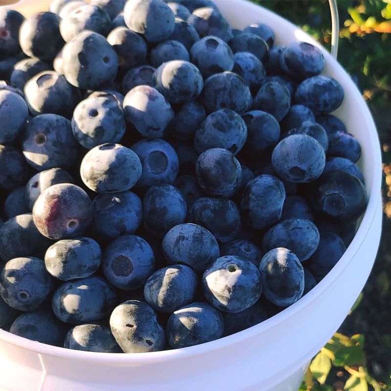 Japanese Secrets to Radiant Skin: 20 Foods You Need to Try
