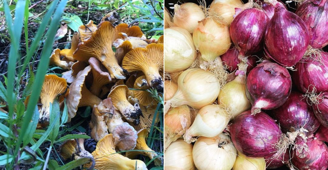 15 Amazing Michigan Foods You Need To Try At Least Once