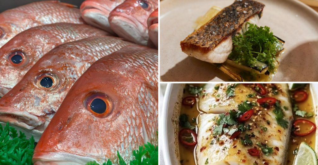 25 Incredible Fish You Have To Taste At Least Once