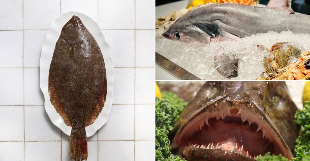 25 Seafoods You Might Want To Avoid (And Why)