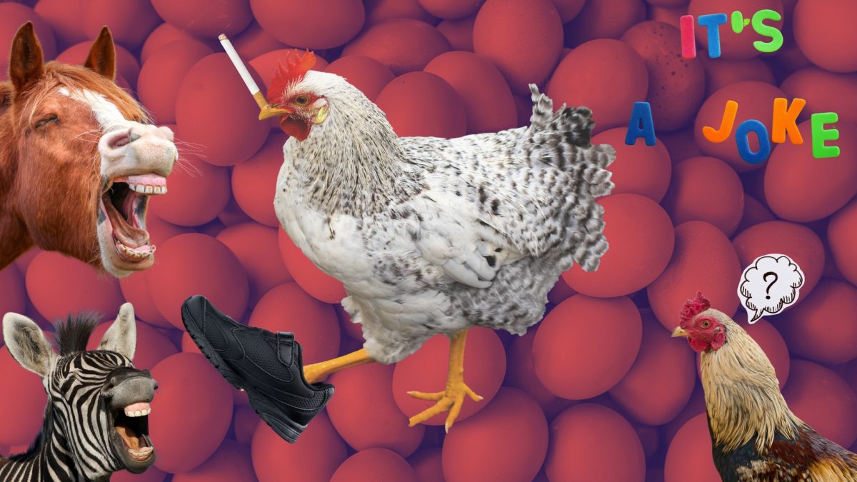 40 Chicken Jokes That Will Make You Cluck With Laughter