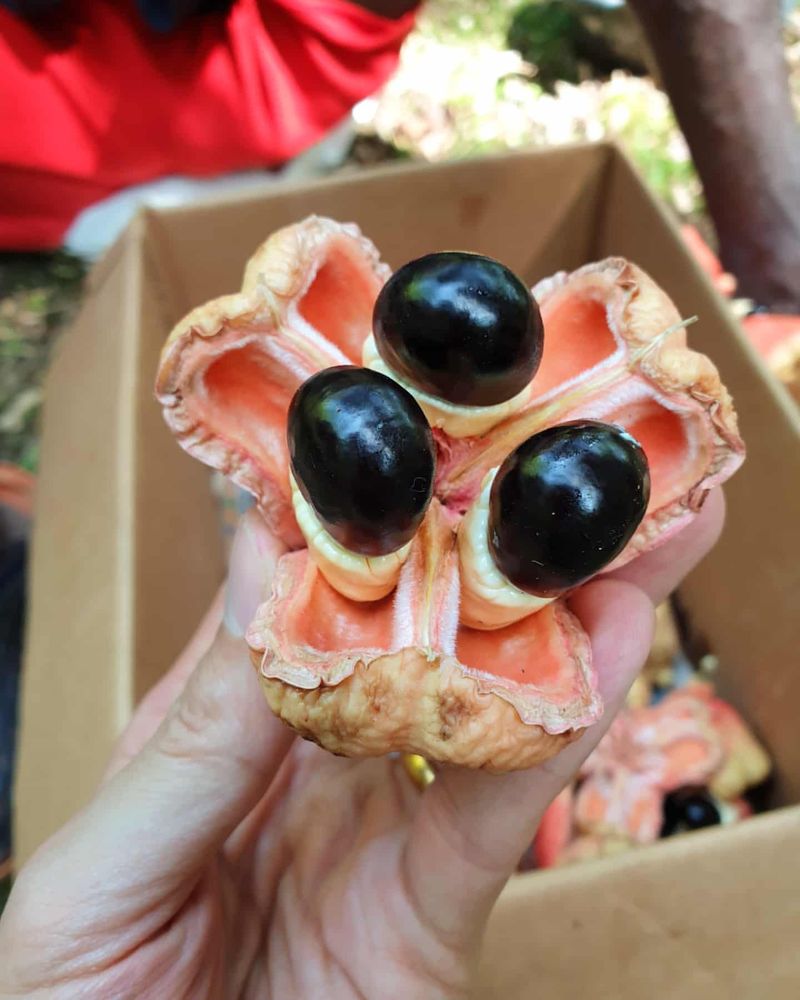 11 Fruits You Should Be Eating And 11 You Shouldn't