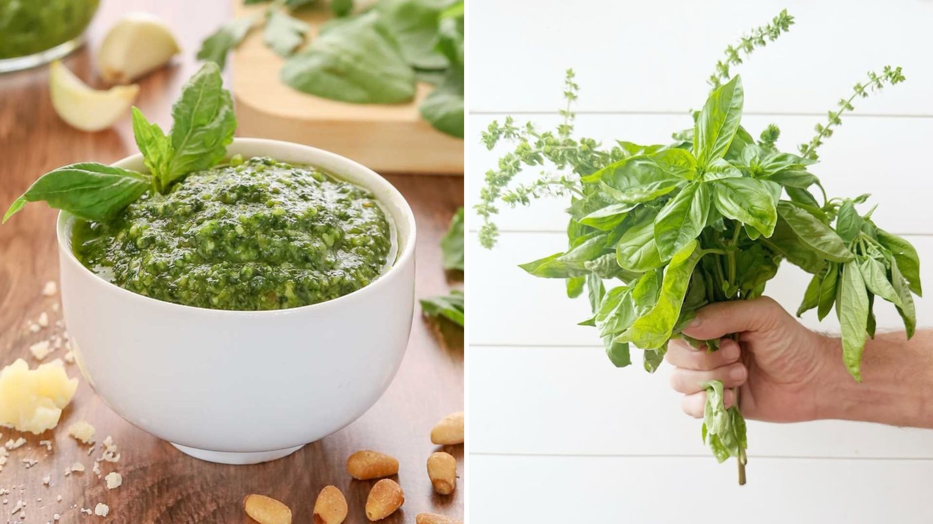 Discover The Incredible Benefits Of Eating Basil