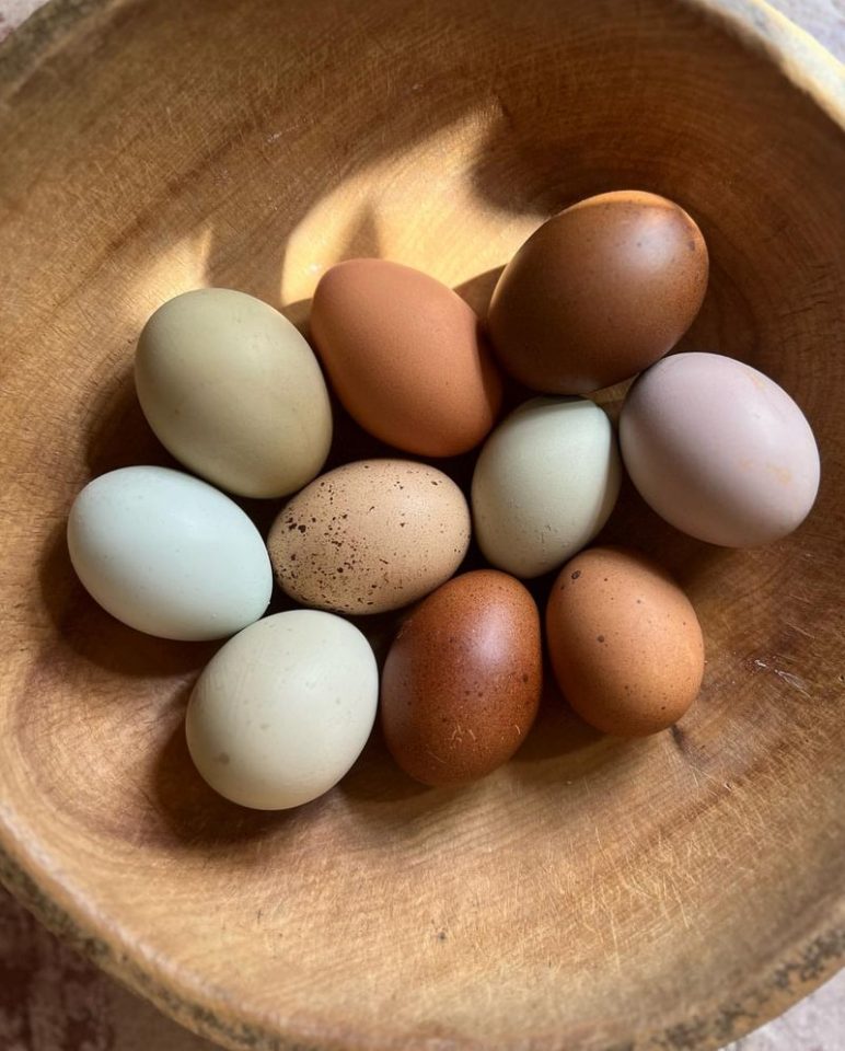 20 Food & Drink Mentioned By The Beatles In Songs