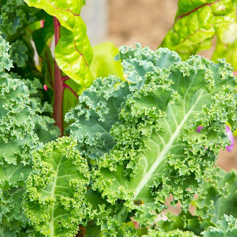 20 Foods That Picky Eaters Absolutely Can’t Stand