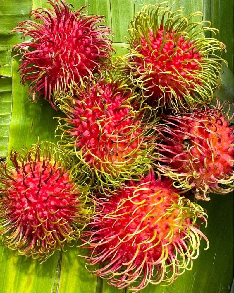 11 Fruits You Should Be Eating And 11 You Shouldn't