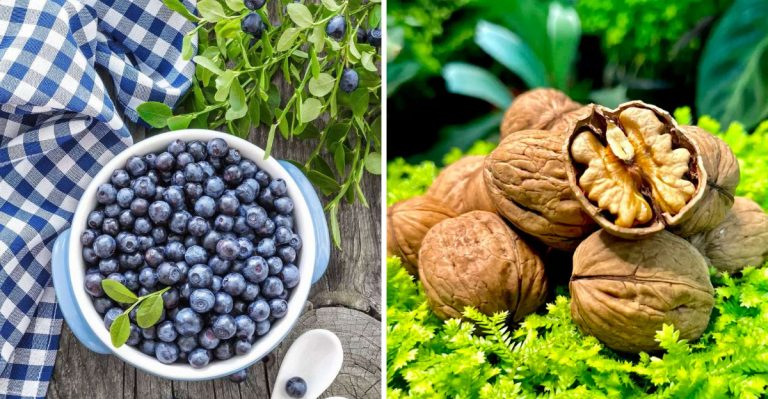 The 25 Best Foods To Boost Brain Health And Memory